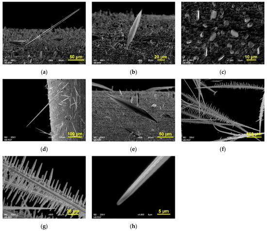 Morphology and Structure of Electrolytically Synthesized Tin Dendritic ...