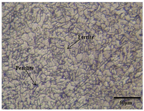 The Influence of Water Flow Characteristics on the Physical and ...