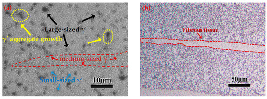 Microstructure Characterization and Mechanical Property of the GH4065A ...