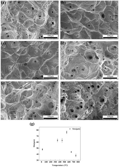 Temperature Dependence of Fracture Behavior and Mechanical Properties of AISI 316 Austenitic ...