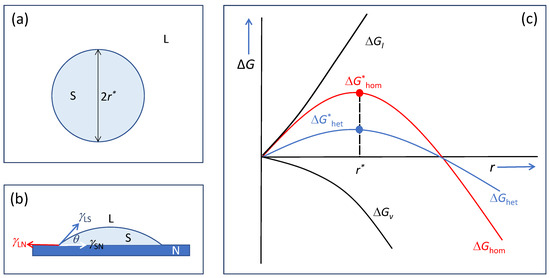 Heterogeneous Nucleation and Grain Initiation on a Single Substrate