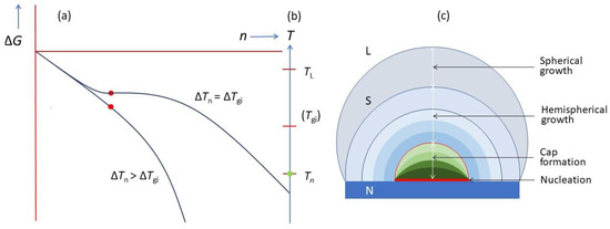 Heterogeneous Nucleation and Grain Initiation on a Single Substrate