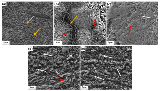 Influences of Strain on the Microstructure and Mechanical Properties of ...