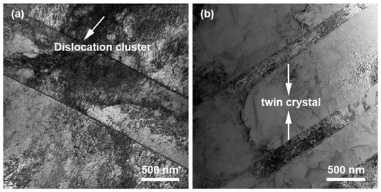 Influence of P Content on Microstructure and Texture Evolution of the ...