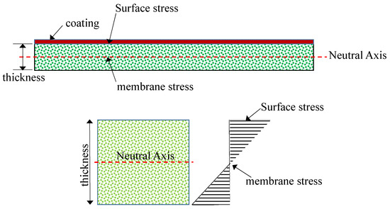 Study on the Root Causes and Prevention of Coating Cracks in the Cargo ...