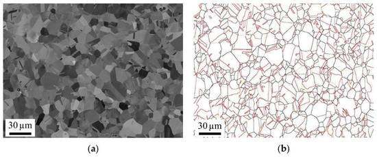 Metals | Free Full-Text | Microstructure Refinement of 301 Stainless Steel via Thermomechanical ...