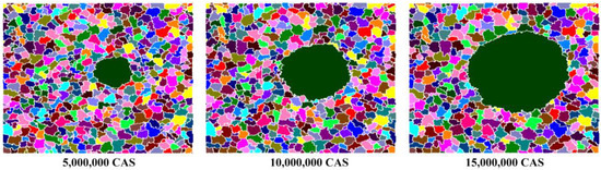 Modeling of Abnormal Grain Growth That Considers Anisotropic Grain ...