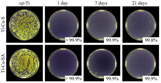Enhancing the Antibacterial Properties and Biocompatibility of Ti-Cu ...