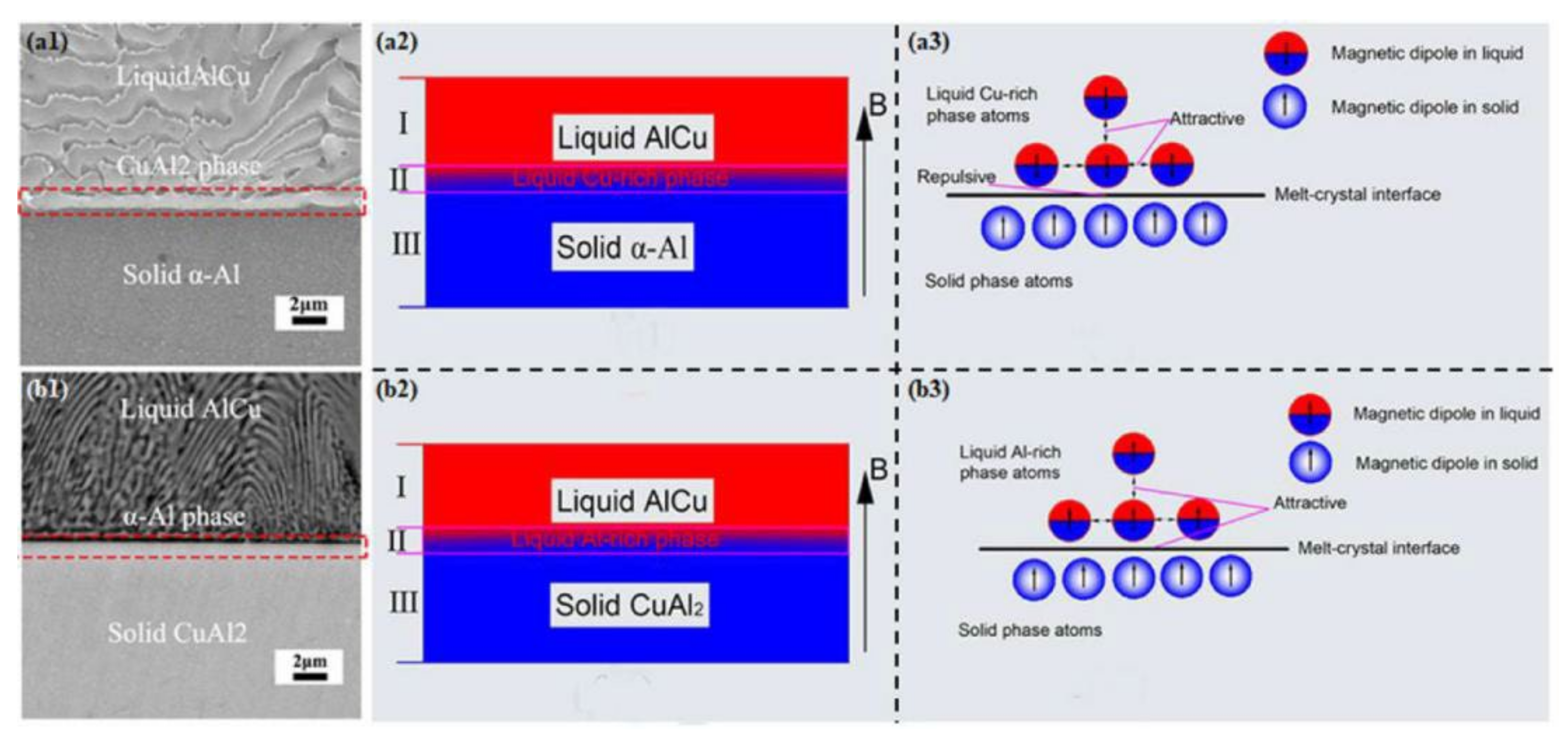 Solidification Processing of Metallic Materials in Static Magnetic ...