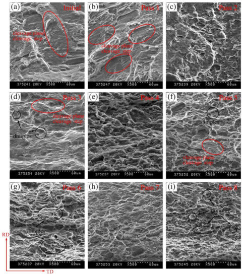 Evolution of the Microstructure and Mechanical Properties of AZ31 Magnesium Alloy Sheets during ...