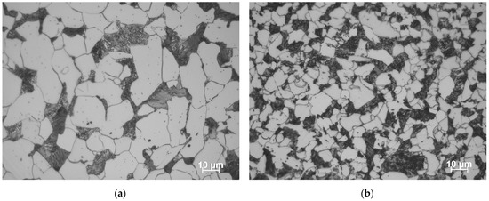 Characterization of the Fatigue Behaviour of Low Carbon Steels by Means ...