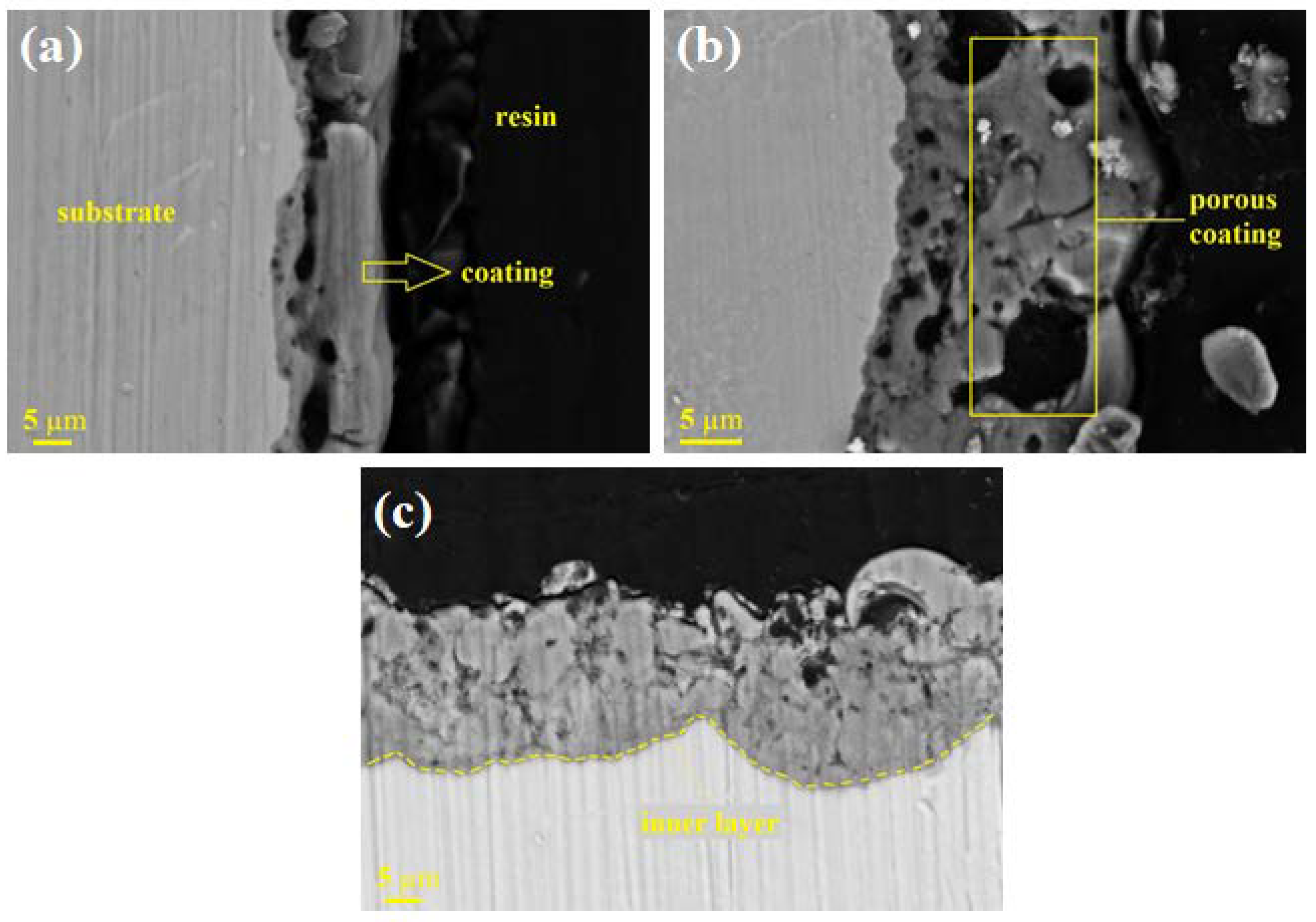 Metals | Free Full-Text | Plasma Electrolytic Oxidation (PEO) Coating on γ-TiAl Alloy ...