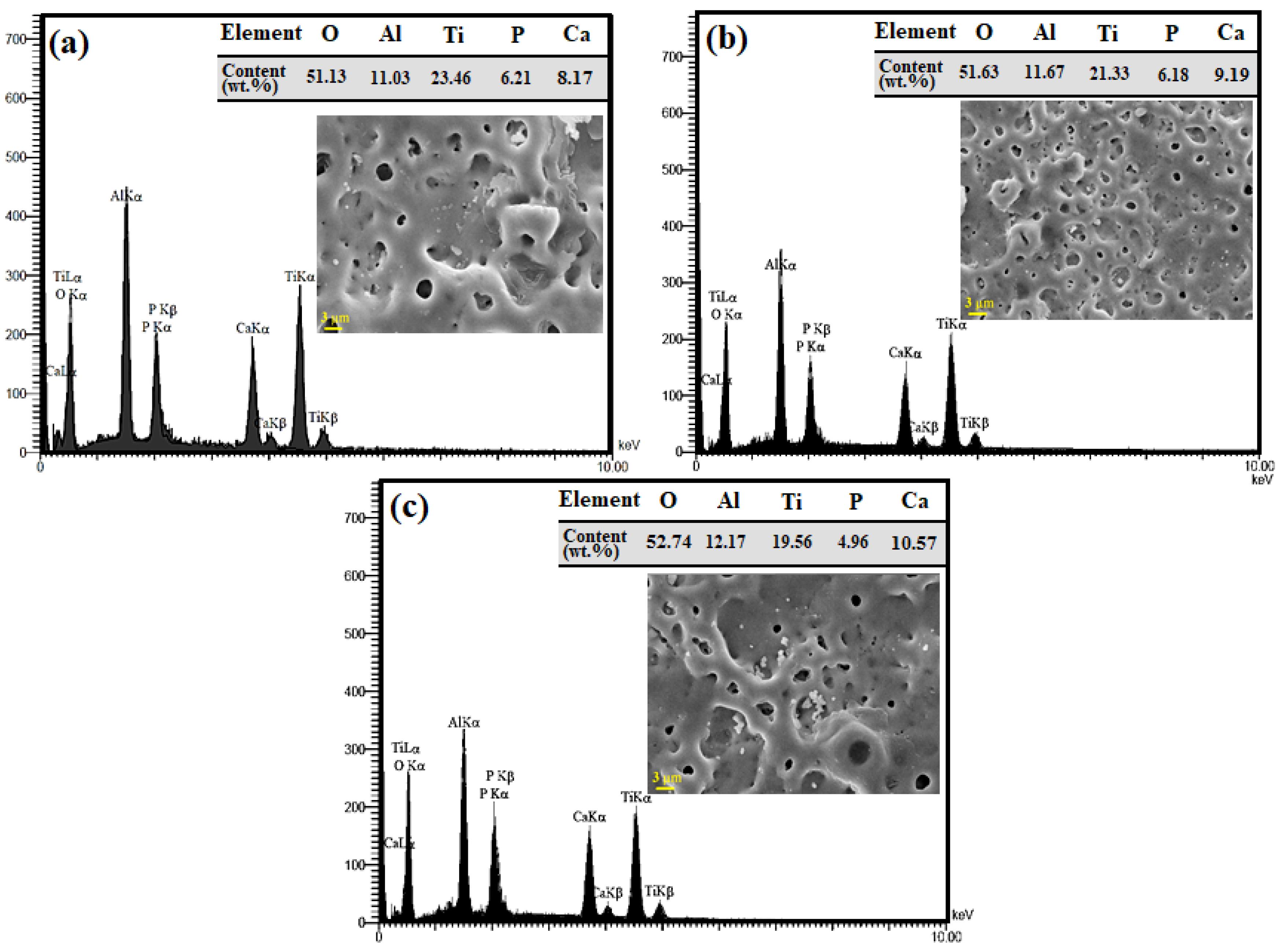 Metals | Free Full-Text | Plasma Electrolytic Oxidation (PEO) Coating ...