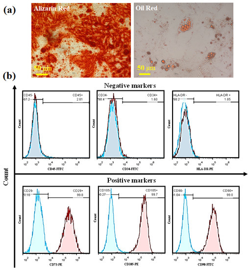 Metals | Free Full-Text | Plasma Electrolytic Oxidation (PEO) Coating ...