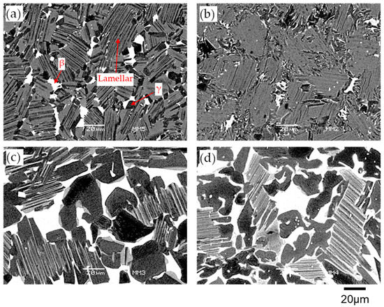 Impact Resistance of Commercially Applied TiAl Alloys and Simple ...