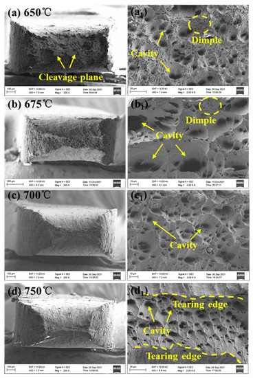 Research on the Fracture Behavior and Microstructure of T91 Steel at ...