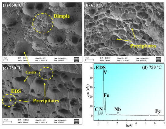 Research on the Fracture Behavior and Microstructure of T91 Steel at ...