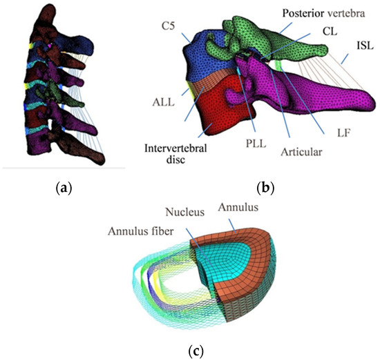 Finite Element Analysis and Validation of Segments C2-C7 of the ...