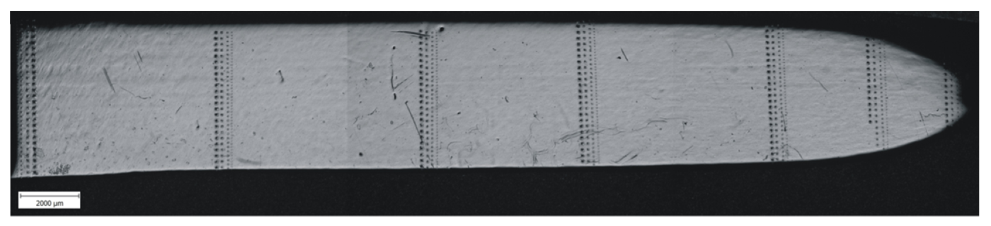 The Influence of the Degree of Tension and Compression of Aluminum on ...