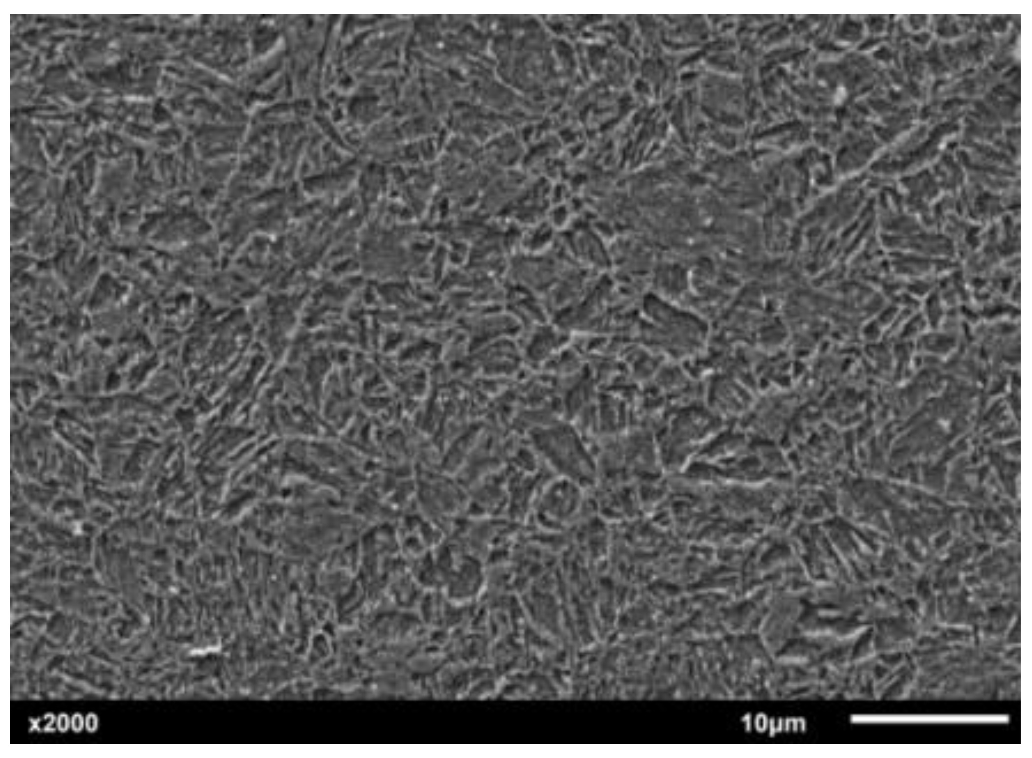Evaluation of Fatigue Performance of Press Hardening Steel Joints ...