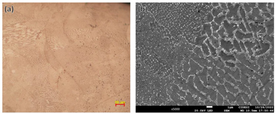 Microstructure and Microhardness Evolution of Additively Manufactured ...