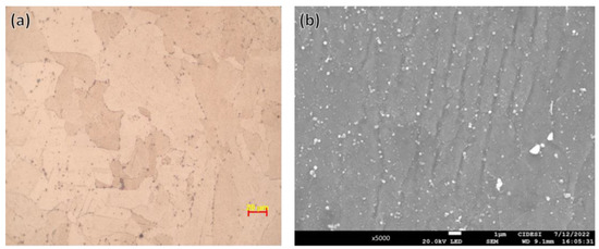 Microstructure and Microhardness Evolution of Additively Manufactured ...