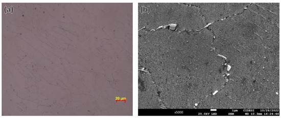 Microstructure and Microhardness Evolution of Additively Manufactured ...