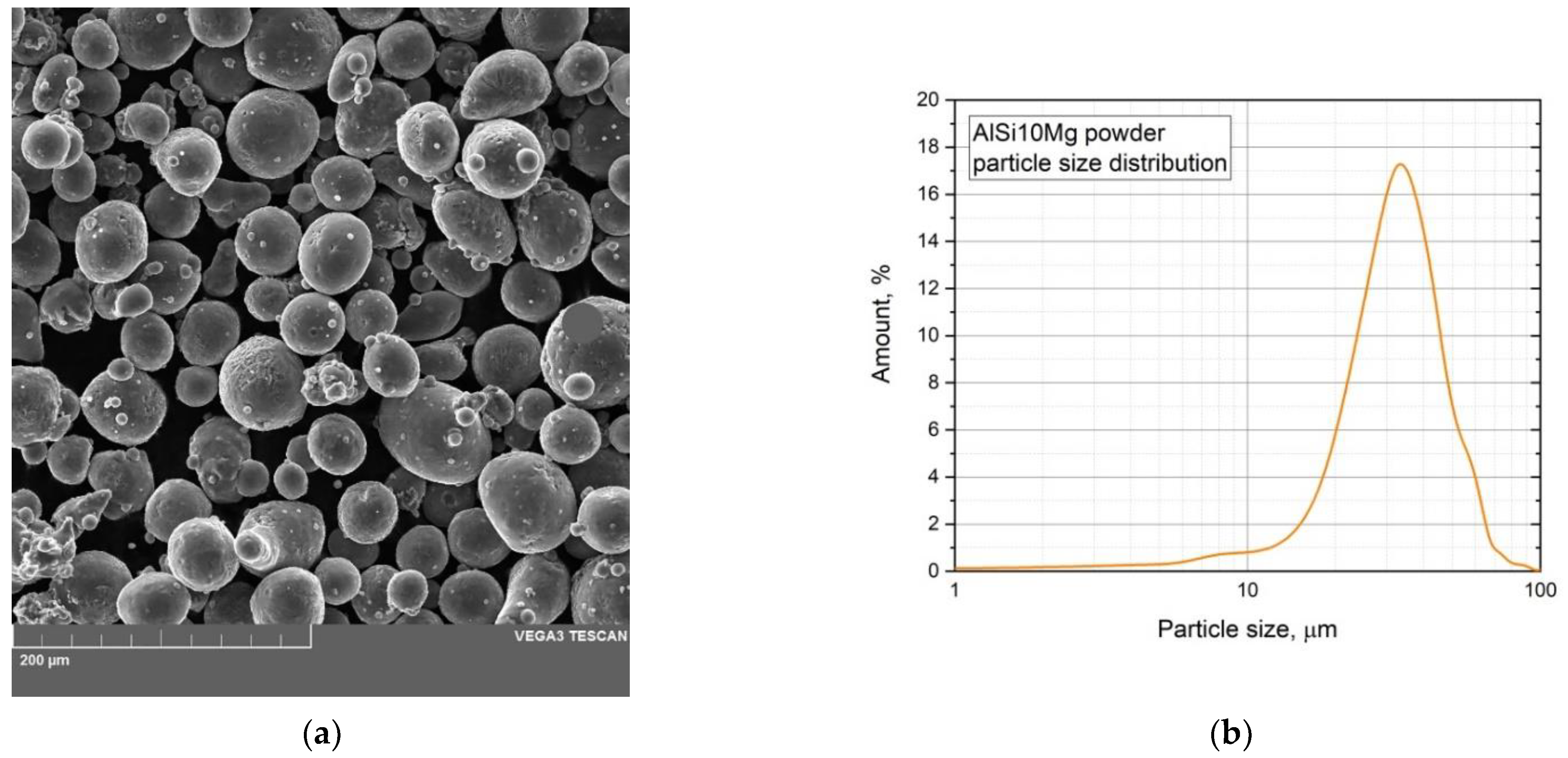 AlSi10Mg/AlN Interface Grain Structure after Laser Powder Bed Fusion