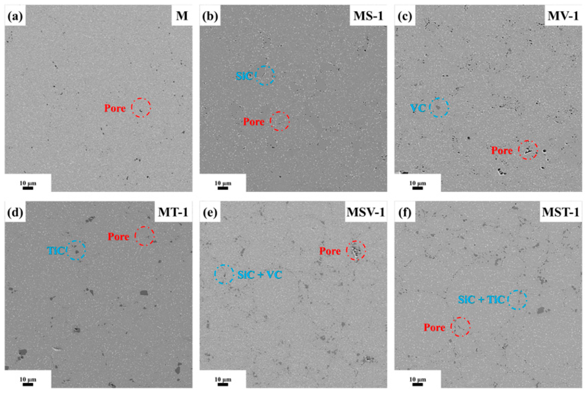 The Effect of MC-Type Carbides on the Microstructure and Wear Behavior ...