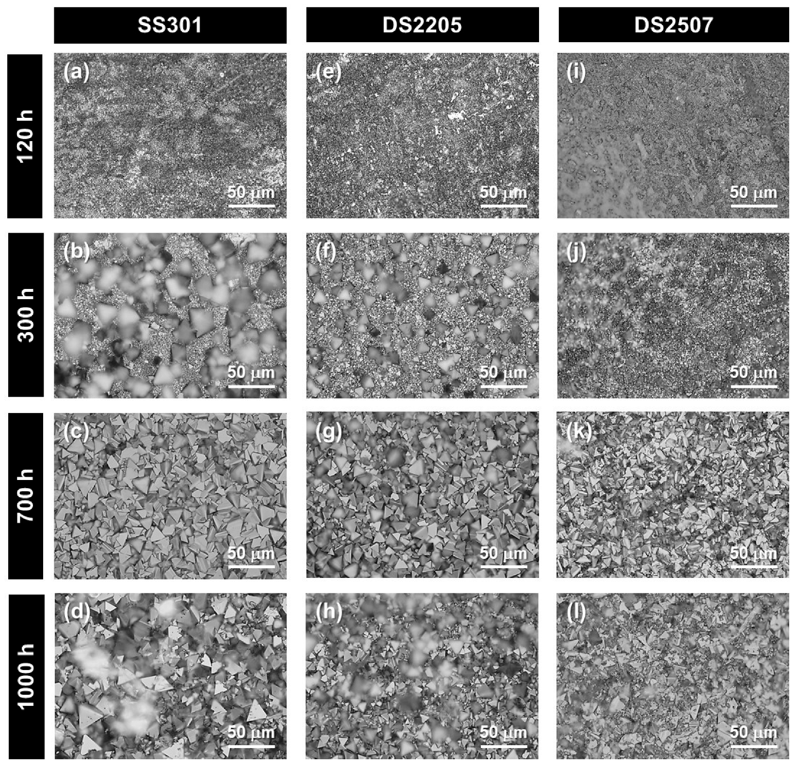 Corrosion Evaluation of Austenitic and Duplex Stainless Steels in Molten Carbonate Salts at 600 ...