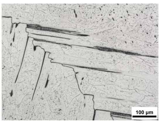 Microstructure Evolution in a GOES Thin Strip