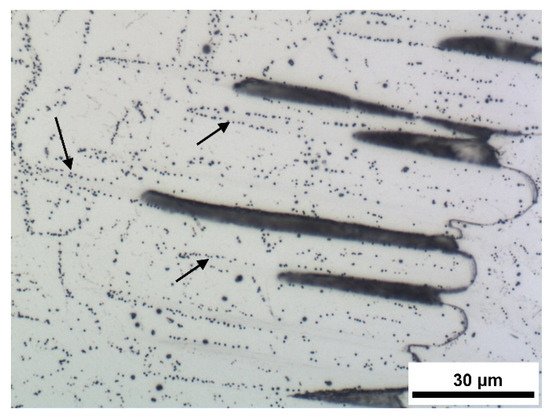 Microstructure Evolution in a GOES Thin Strip