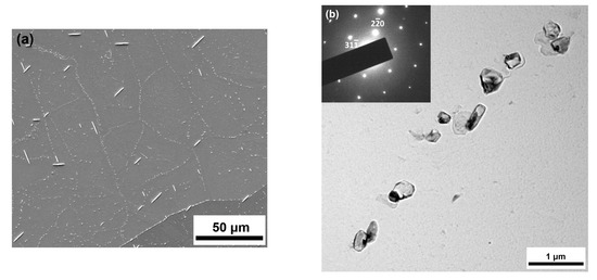 Microstructure Evolution in a GOES Thin Strip