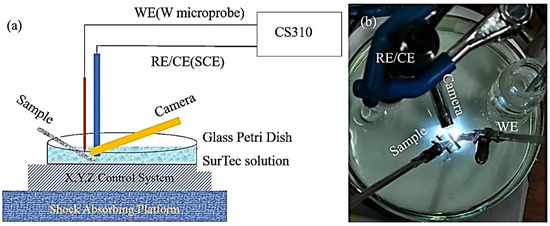 Study of Trivalent Chromium Conversion Coating Formation at Solution ...