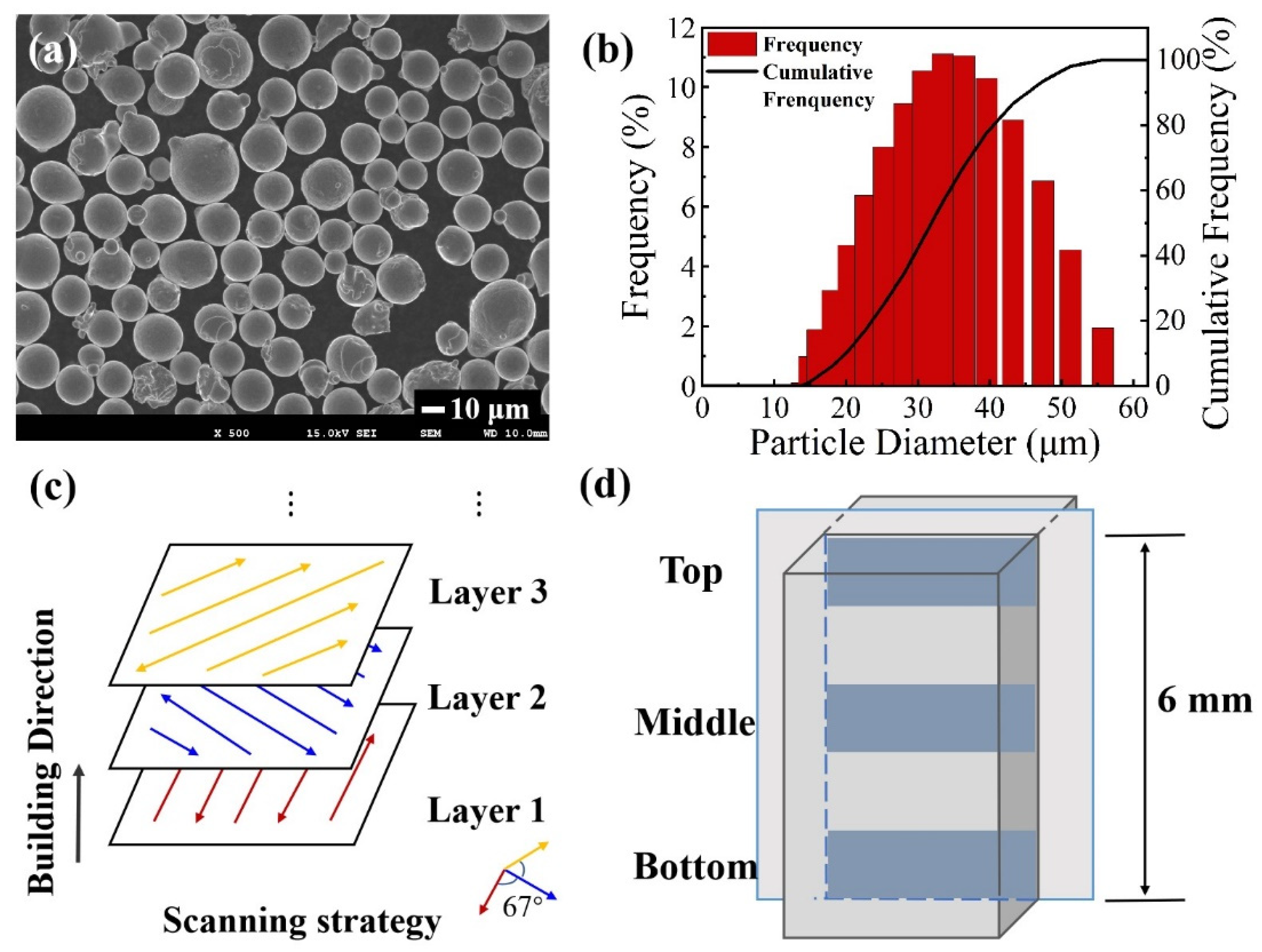 Effect of Thermal Cycling on Grain Evolution and Micro-Segregation in Selective Laser Melting of ...