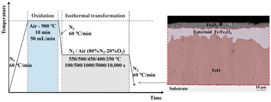 Eutectoid Transformation Kinetics of FeO under N2 and Air Atmospheres