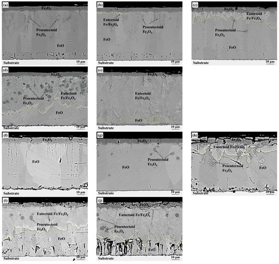 Eutectoid Transformation Kinetics of FeO under N2 and Air Atmospheres