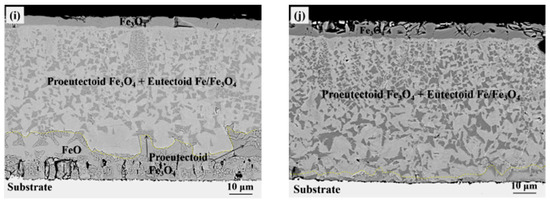 Eutectoid Transformation Kinetics of FeO under N2 and Air Atmospheres