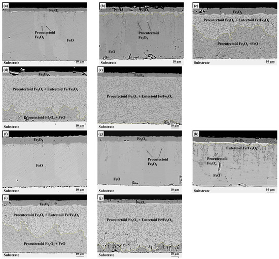 Eutectoid Transformation Kinetics of FeO under N2 and Air Atmospheres