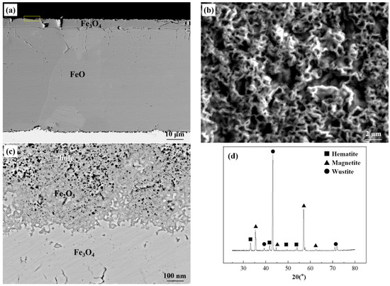 Eutectoid Transformation Kinetics of FeO under N2 and Air Atmospheres