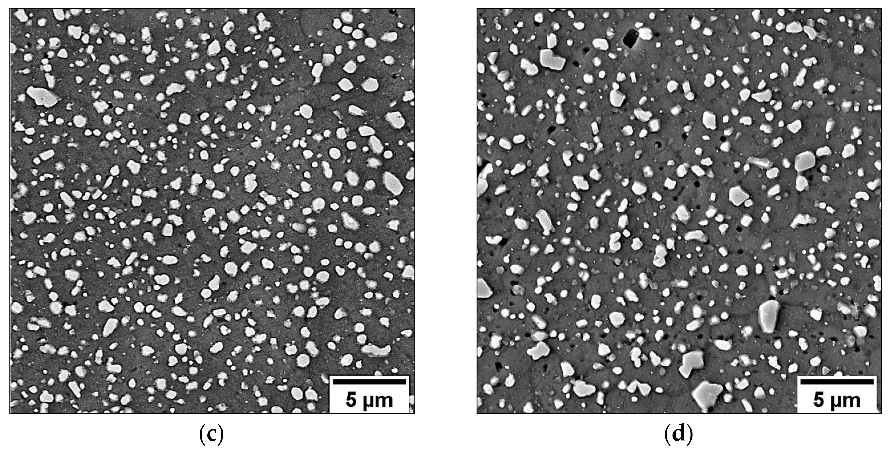Room- and High-Temperature Fatigue Strength of the T5 and Rapid T6 Heat ...