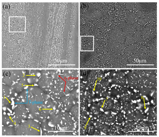Investigation of Microstructures and Mechanical Properties of Ultra ...