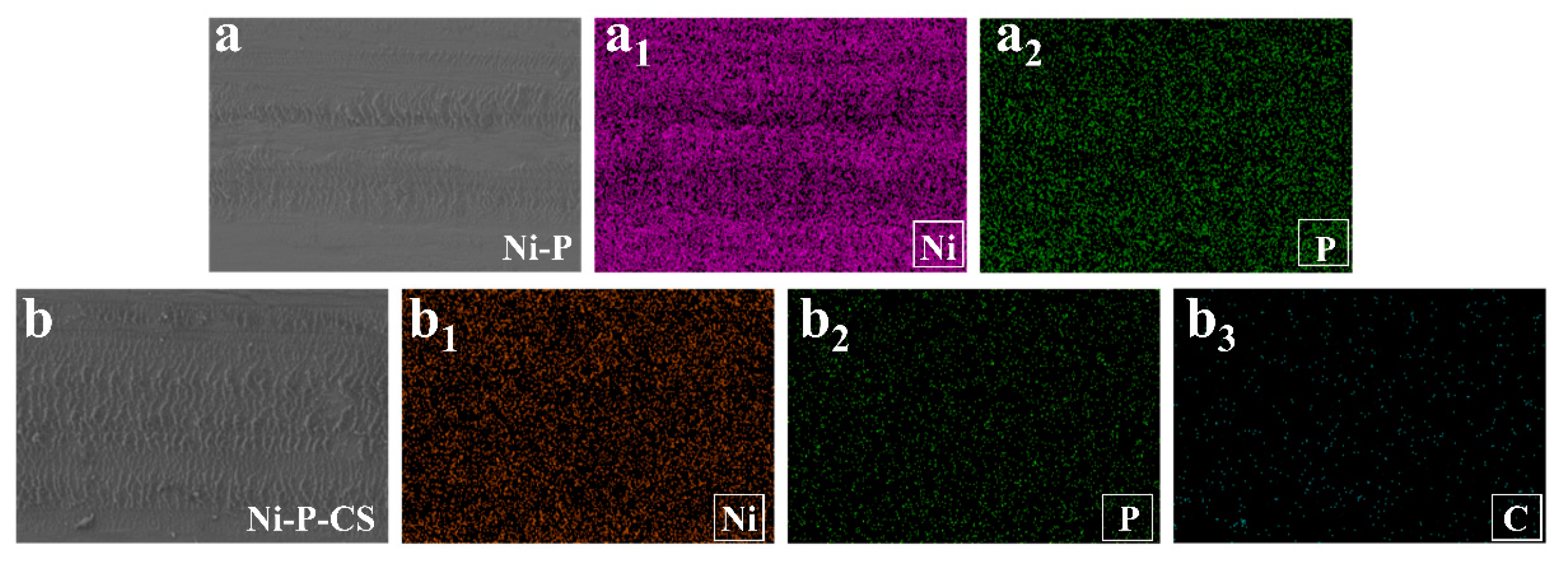 Friction and Wear of Electroless Ni-P-CS Composite Coating