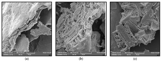 Metals | Free Full-Text | Investigation of the Electrochemical ...