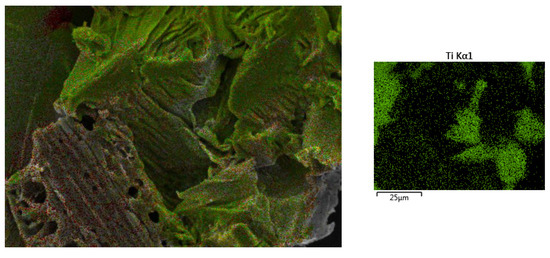 Metals | Free Full-Text | Investigation of the Electrochemical ...