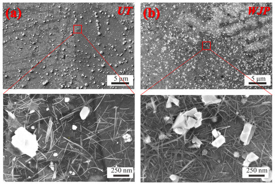 Effect of Water Jet Cavitation Peening on Short-Period Oxidation ...