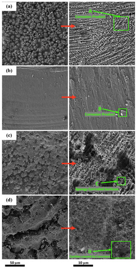 Effect of Lateral Laser-Cladding Process on the Corrosion Performance ...