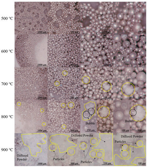 Reactions and Morphologies of Mg and Mg/Teflon/Viton Particles during ...