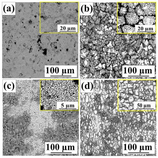 Corrosion Behavior of Refractory High-Entropy Alloys in FLiNaK Molten Salts