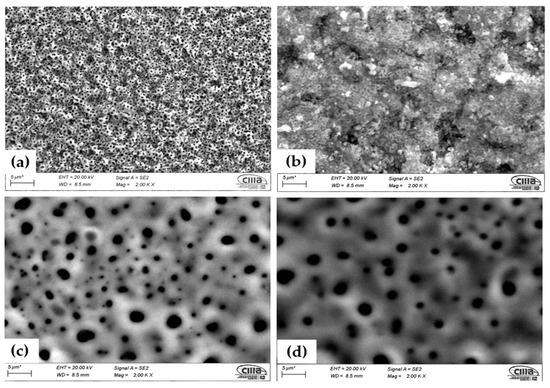 Corrosion of Titanium Alloys Anodized Using Electrochemical Techniques